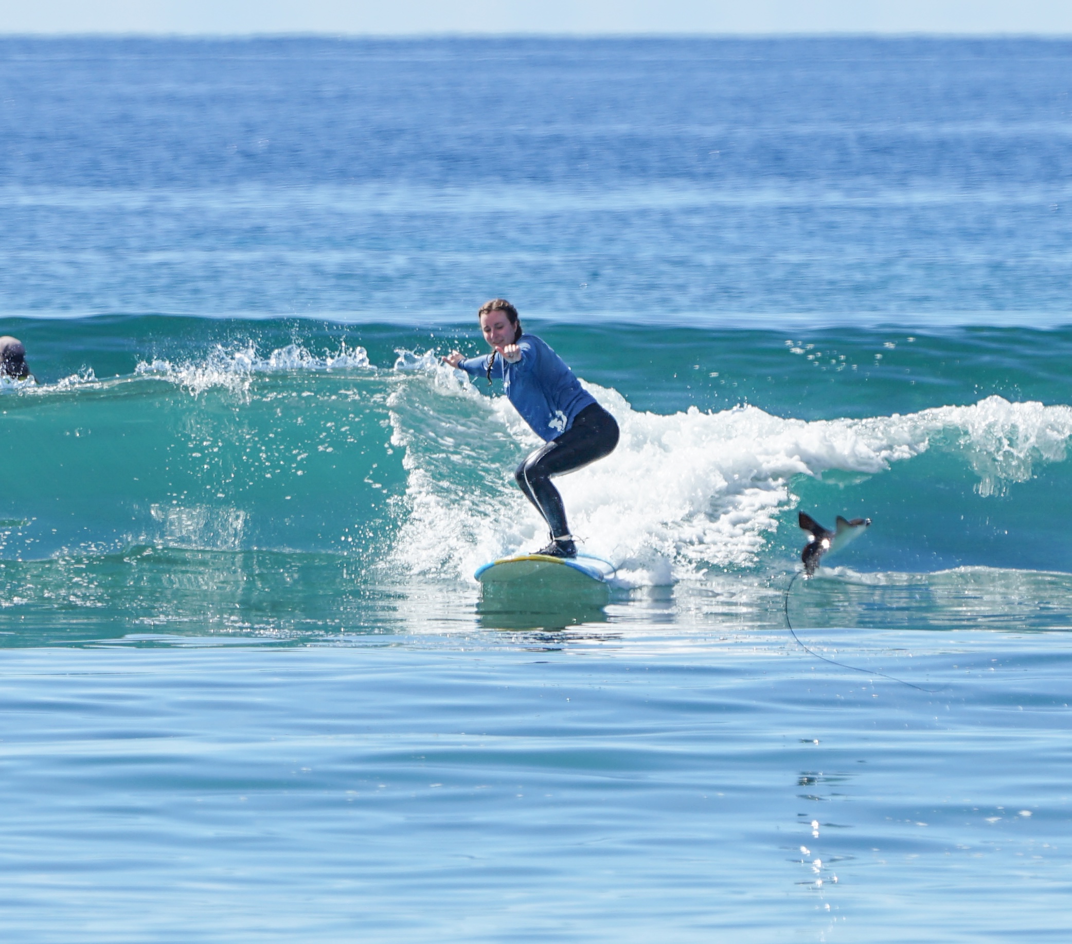 Maui Surf Lessons, Maui Surf School & Surf Camps